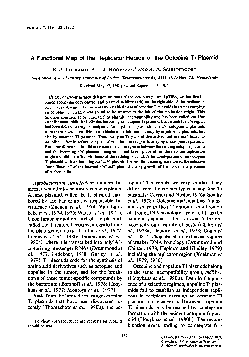 (PDF) A functional map of the replicator region of the octopine Ti ...