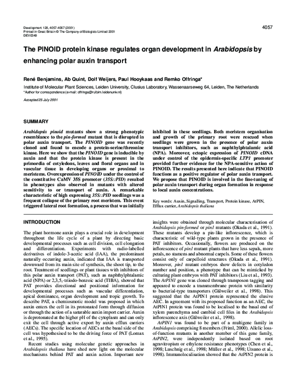(PDF) The PINOID protein kinase regulates organ development in ...