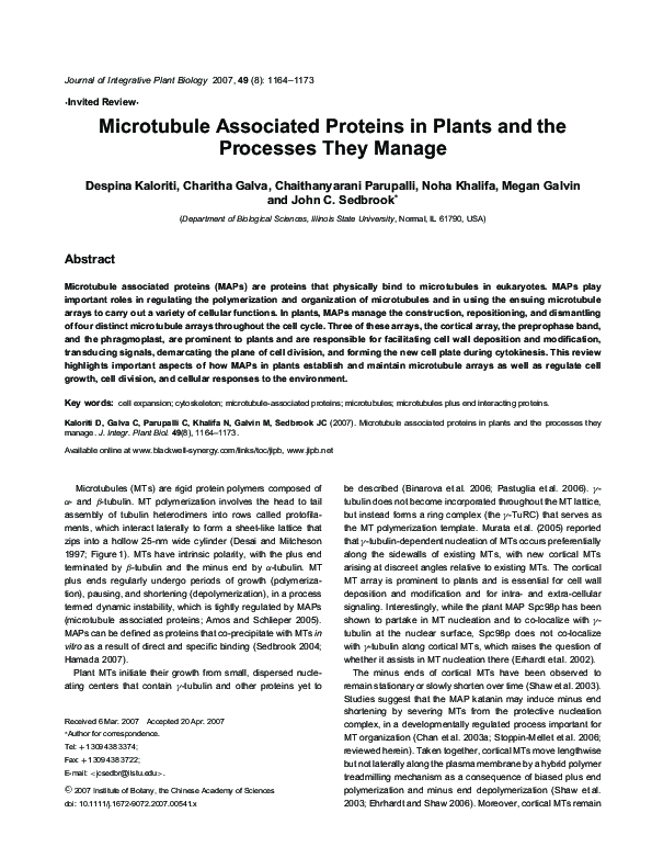 (PDF) Microtubule Associated Proteins in Plants and the Processes They ...