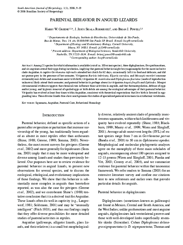 (PDF) Parental Behavior in Anguid Lizards