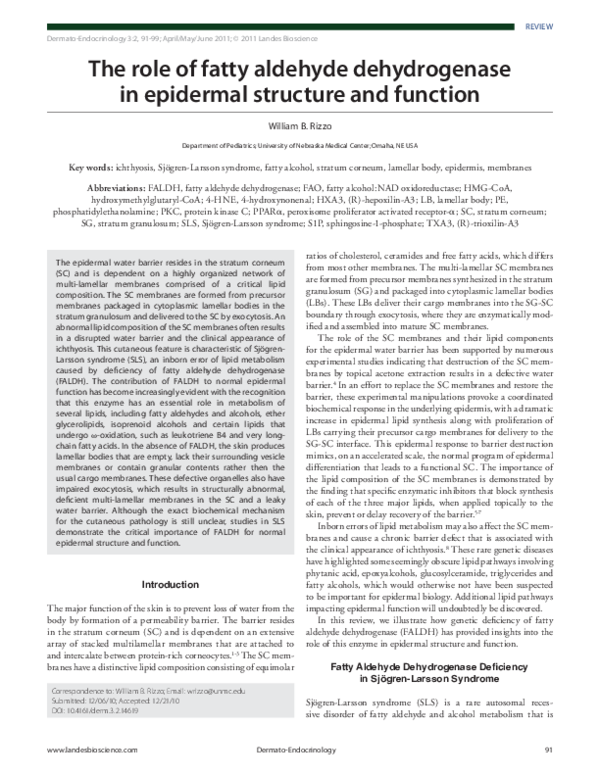 (PDF) The role of fatty aldehyde dehydrogenase in epidermal structure ...