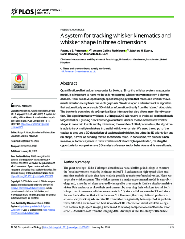 (PDF) A system for tracking whisker kinematics and whisker shape in ...