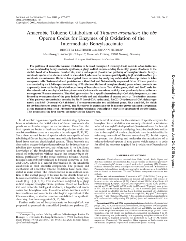 (PDF) Anaerobic Toluene Catabolism of Thauera aromatica: the bbs Operon ...