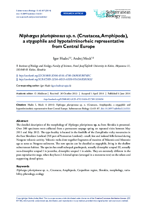 (PDF) Niphargus plurispinosus sp. n. (Crustacea, Amphipoda), a ...