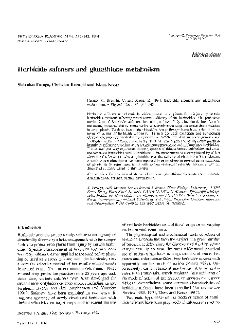 (PDF) Herbicide safeners and glutathione metabolism