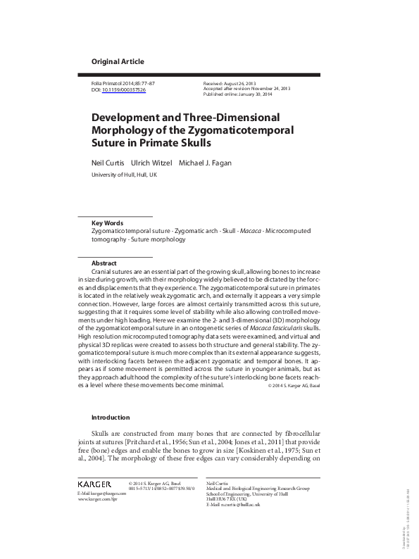 (PDF) Development and Three-Dimensional Morphology of the ...