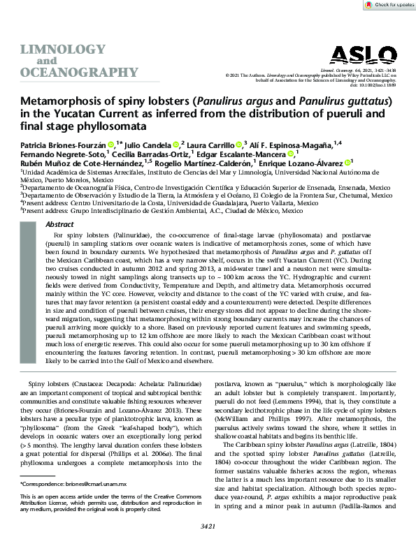 (PDF) Metamorphosis of spiny lobsters (Panulirus argus and Panulirus ...