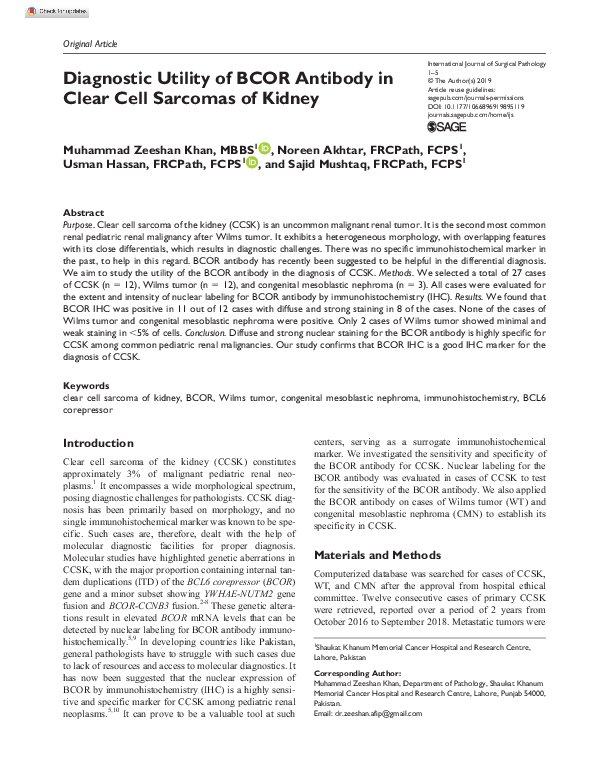 (PDF) Diagnostic Utility of BCOR Antibody in Clear Cell Sarcomas of Kidney