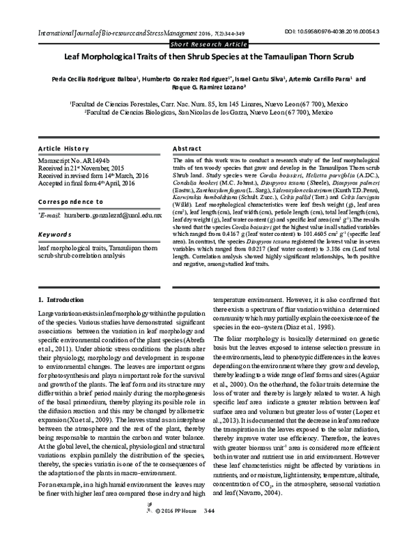 (PDF) Leaf Morphological Traits of then Shrub Species at the Tamaulipan ...