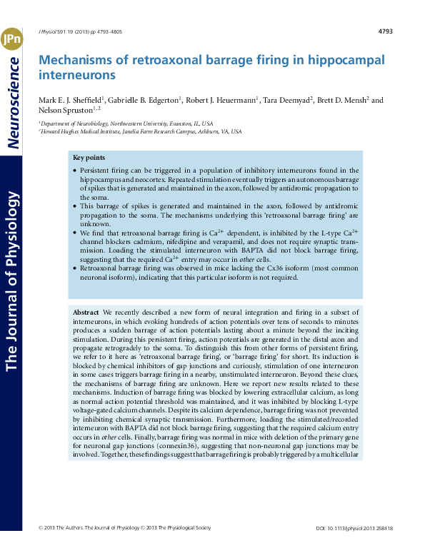 (PDF) Mechanisms of retroaxonal barrage firing in hippocampal ...
