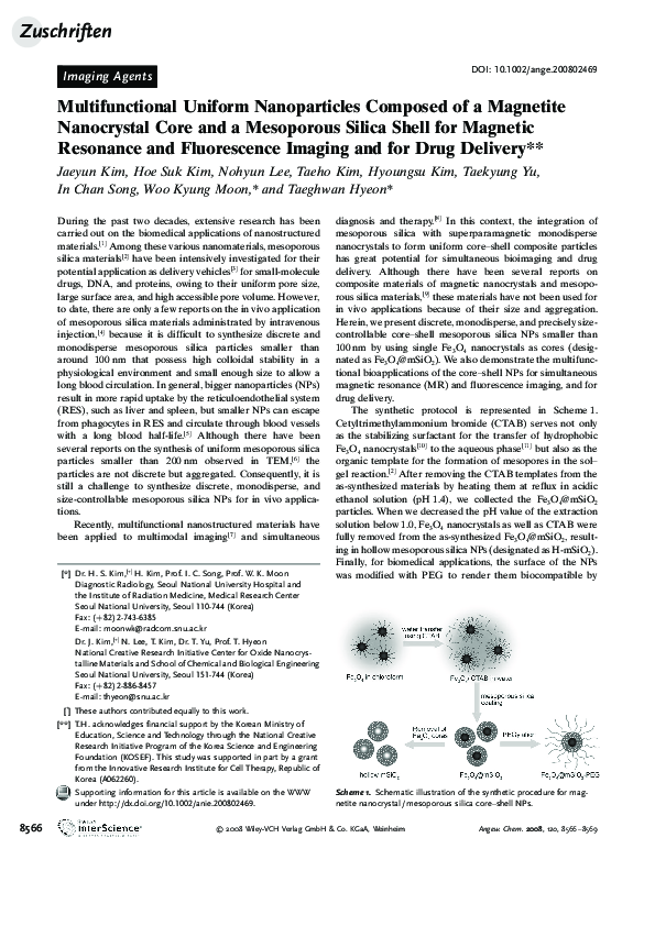 (PDF) Multifunctional Uniform Nanoparticles Composed of a Magnetite Nanocrystal Core and a ...