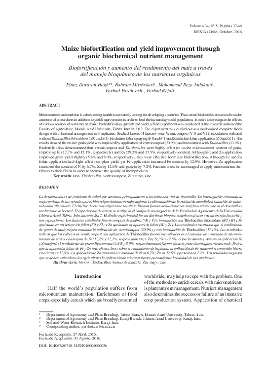 Maize biofortification and yield improvement through organic ...