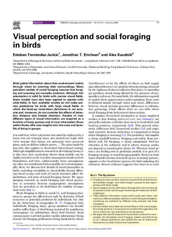 (PDF) Visual perception and social foraging in birds
