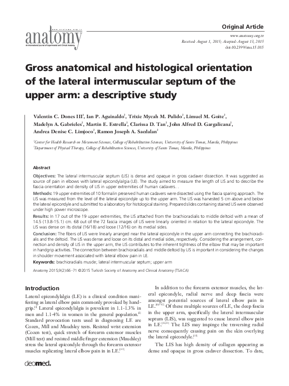 (PDF) Gross anatomical and histological orientation of the lateral ...