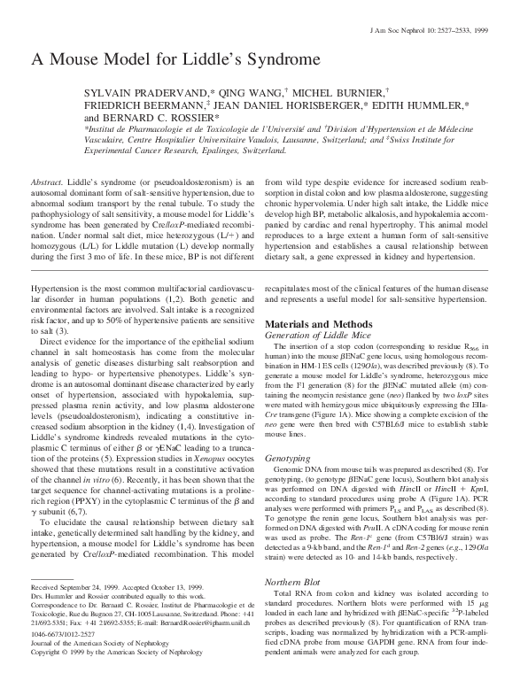 (PDF) A Mouse Model for Liddle's Syndrome