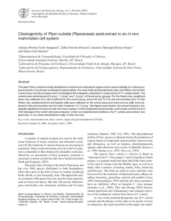 (PDF) Clastogenicity of Piper cubeba (Piperaceae) seed extract in an in ...