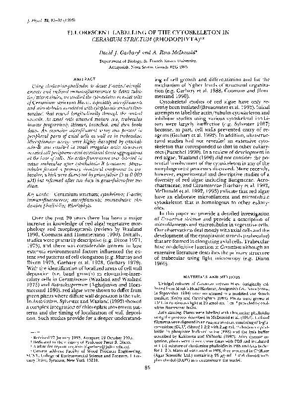 (PDF) Fluorescent Labelling of the Cytoskeleton in Ceramium Strictum ...