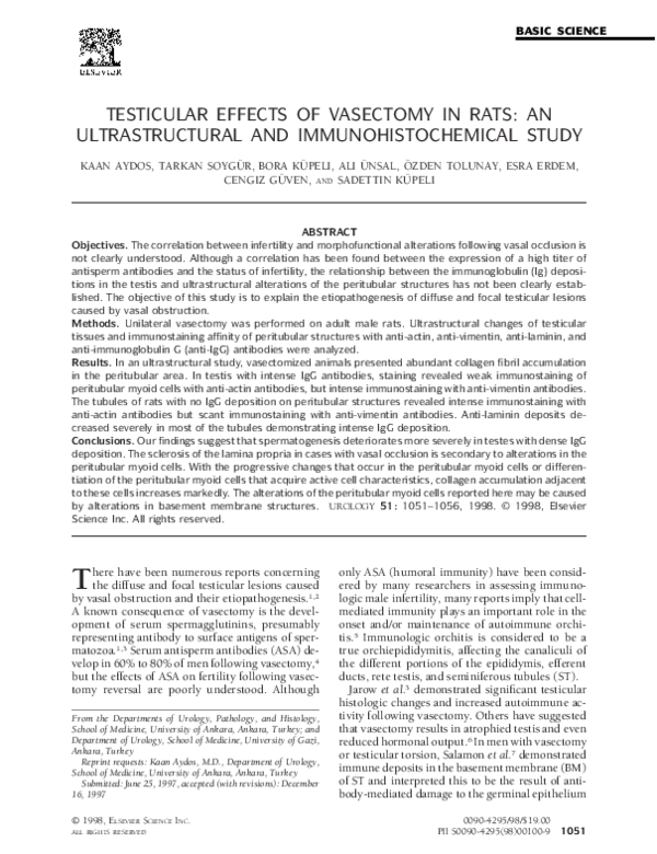 (PDF) Testicular Effects of Vasectomy in Rats: An Ultrastructural and ...