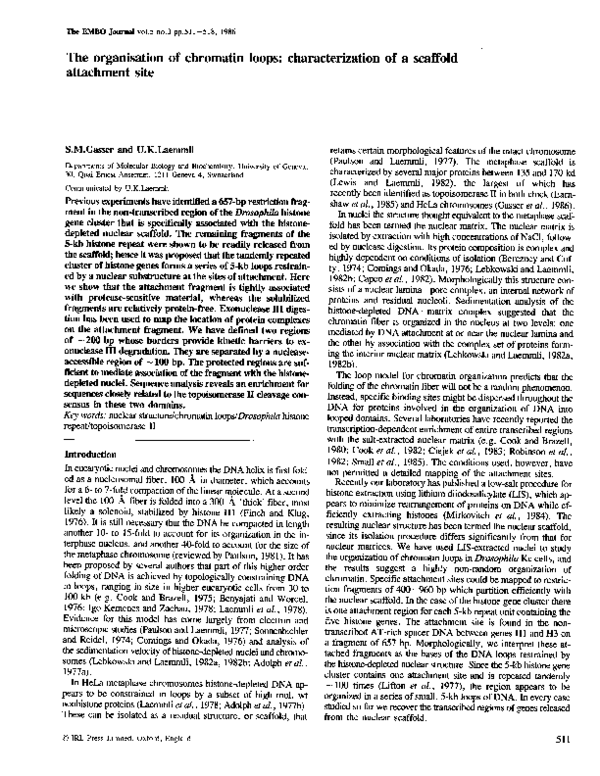 (PDF) Gasser, S.M. & Laemmli, U.K. The organization of chromatin loops ...