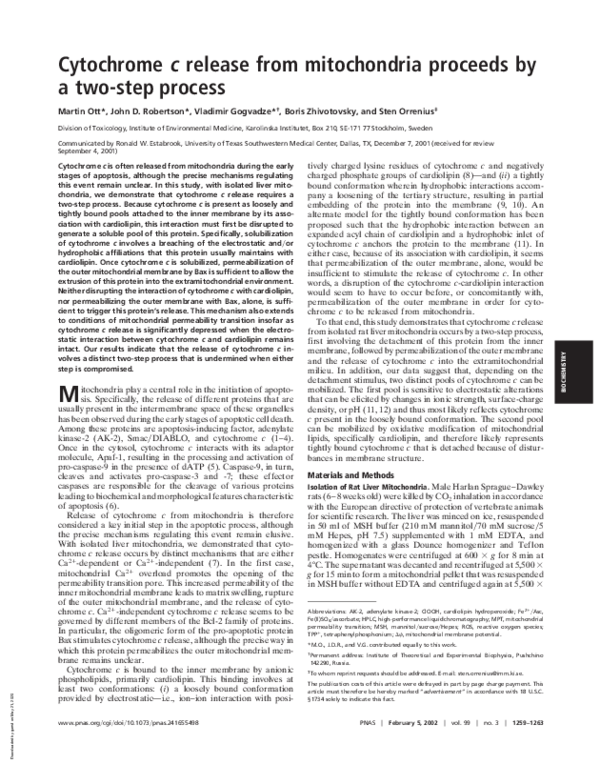 (PDF) Cytochrome C Release From Mitochondria Proceeds by a Two-Step Process