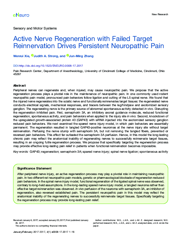 (PDF) Active Nerve Regeneration with Failed Target Reinnervation Drives ...