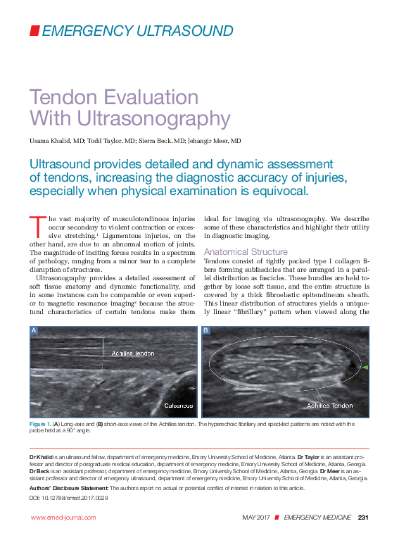 (PDF) Tendon Evaluation With Ultrasonography