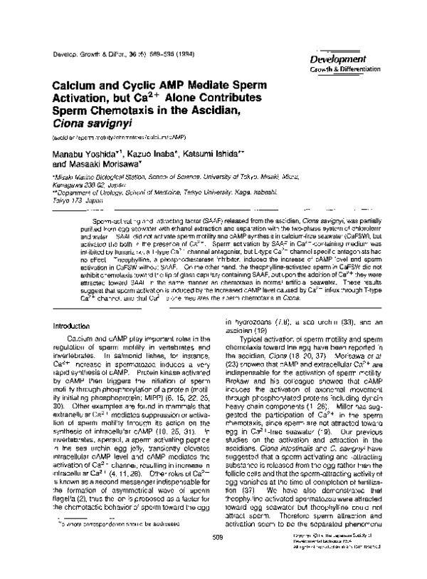 (PDF) Calcium and Cyclic AMP Mediate Sperm Activation, but Ca2+Alone ...
