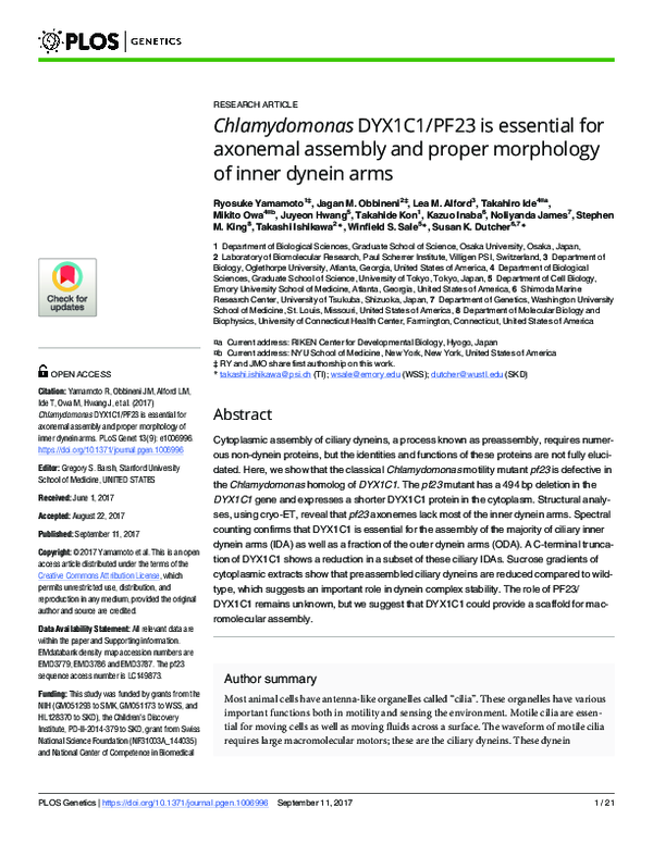 (PDF) Chlamydomonas DYX1C1/PF23 is essential for axonemal assembly and ...