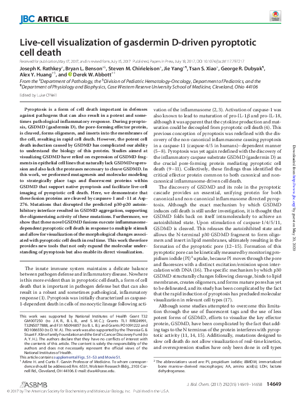 (PDF) Live cell visualization of gasdermin D-driven pyroptotic cell death