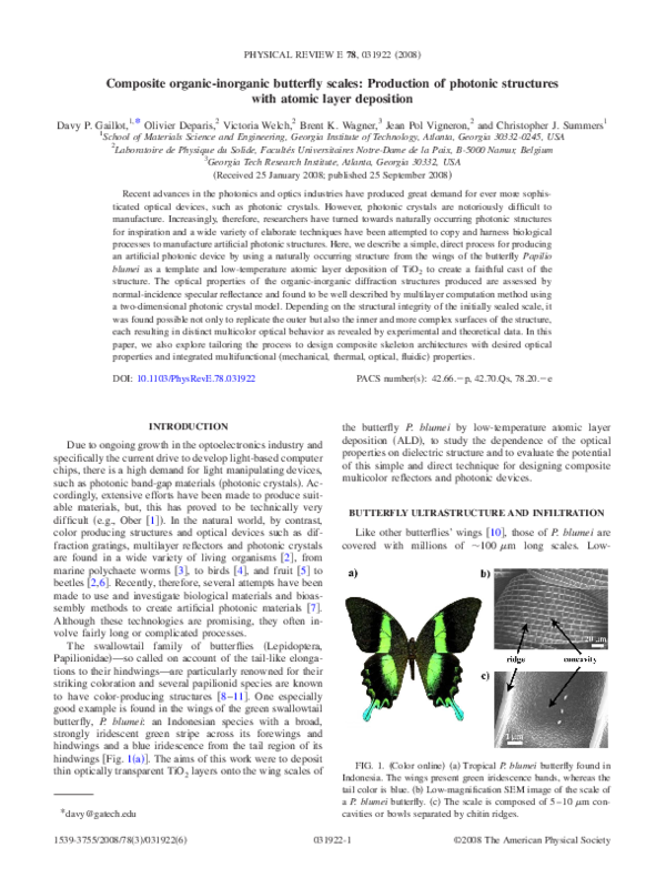 (PDF) Composite organic-inorganic butterfly scales: Production of ...