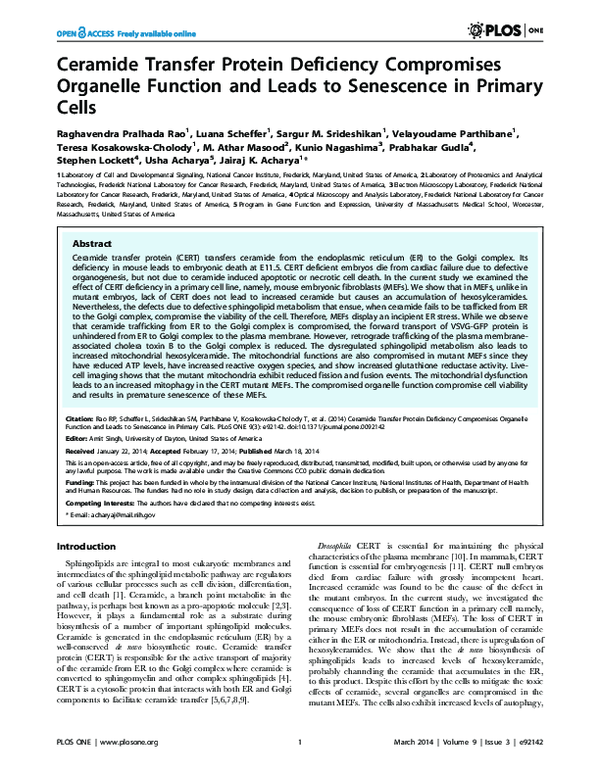 (PDF) Ceramide Transfer Protein Deficiency Compromises Organelle Function and Leads to ...