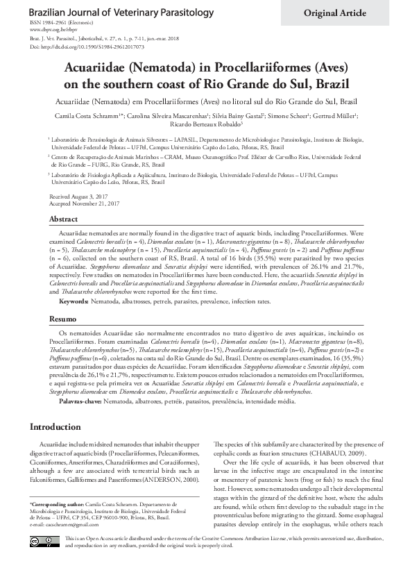 (PDF) Acuariidae Nematodes in Procellariiformes of Southern Brazil