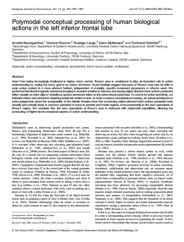 (PDF) Polymodal conceptual processing of human biological actions in ...