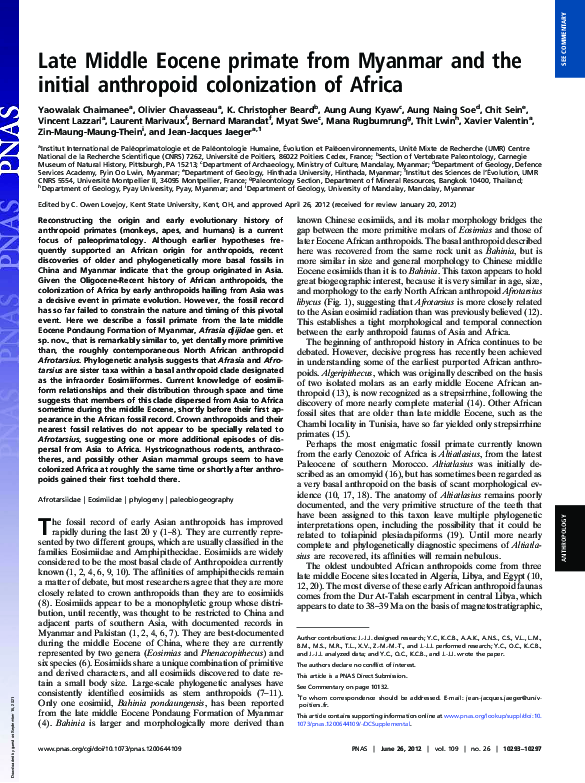 (PDF) Late Middle Eocene primate from Myanmar and the initial ...