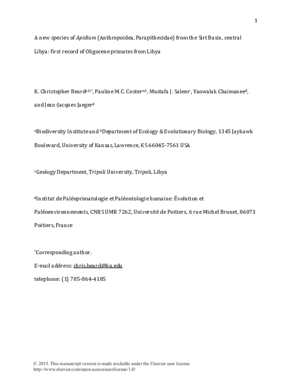 (PDF) A new species of Apidium (Anthropoidea, Parapithecidae) from the ...