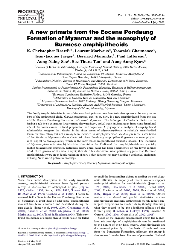 (PDF) A new primate from the Eocene Pondaung Formation of Myanmar and ...
