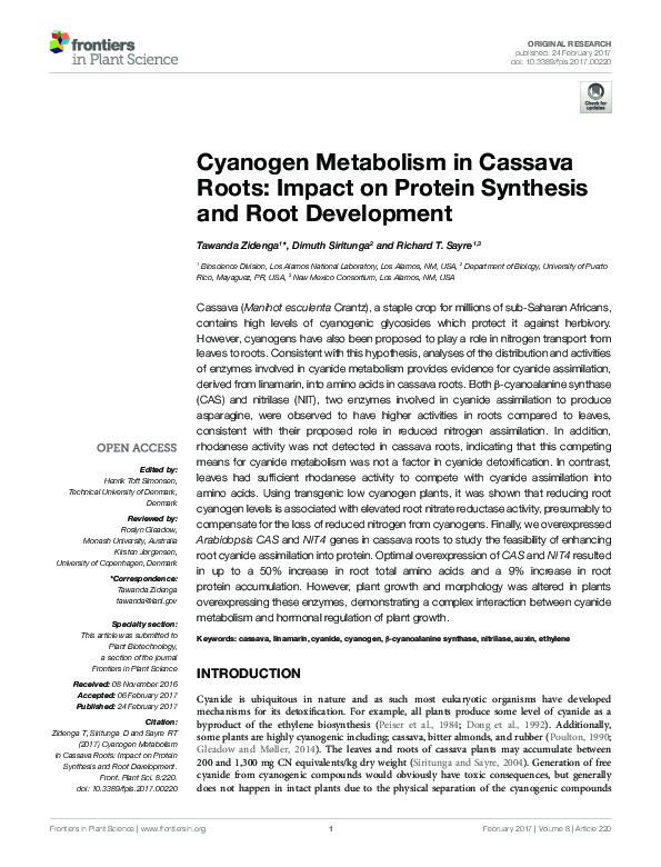 (PDF) Cyanogen Metabolism in Cassava Roots: Impact on Protein Synthesis ...