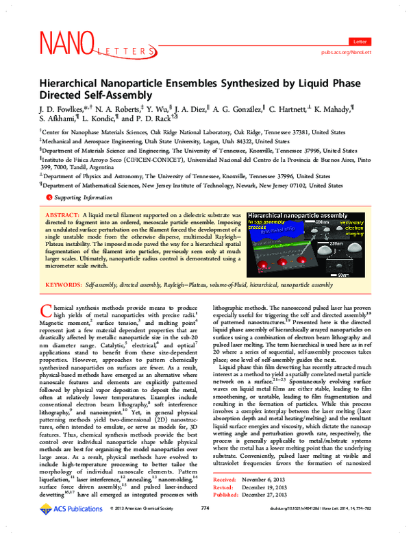 (PDF) Hierarchical Nanoparticle Ensembles Synthesized by Liquid Phase ...