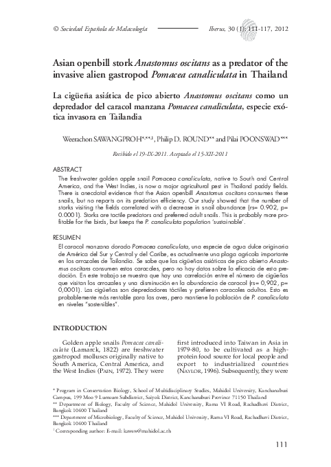 (PDF) Asian openbill stork Anastomus oscitans as a predator of the ...