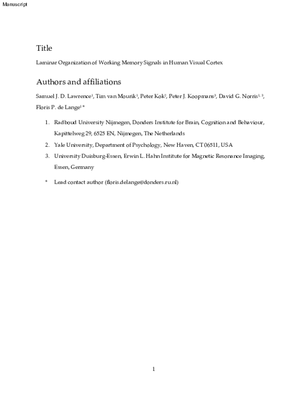 (PDF) Laminar Organization of Working Memory Signals in Human Visual Cortex