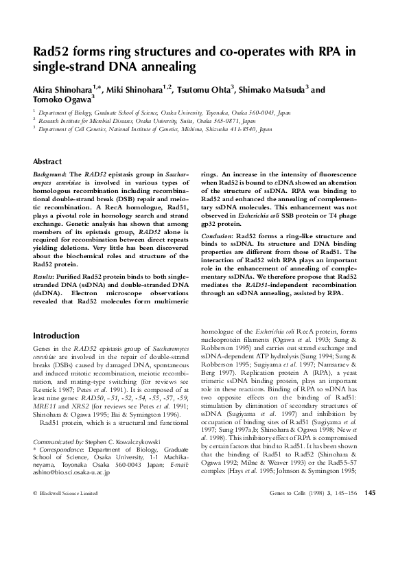 (PDF) Rad52 forms ring structures and co-operates with RPA in single ...