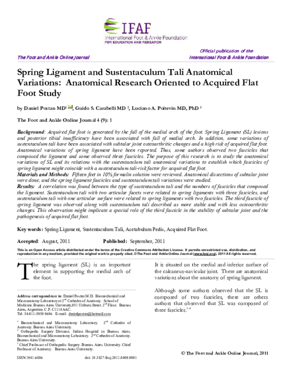(PDF) Spring Ligament and Sustentaculum Tali Anatomical Variations ...