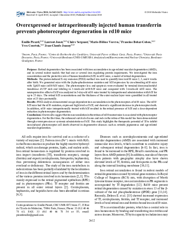 (PDF) Overexpressed or intraperitoneally injected human transferrin ...