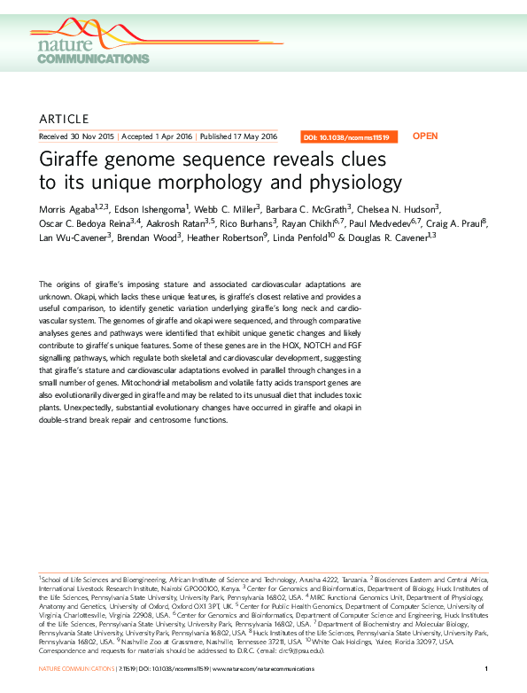 (PDF) Giraffe genome sequence reveals clues to its unique morphology ...