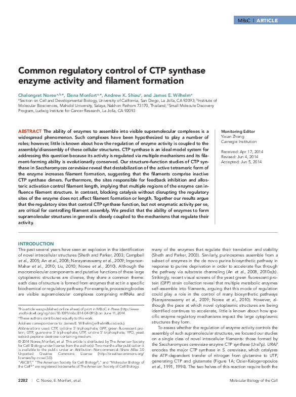 (PDF) Common regulatory control of CTP synthase enzyme activity and ...