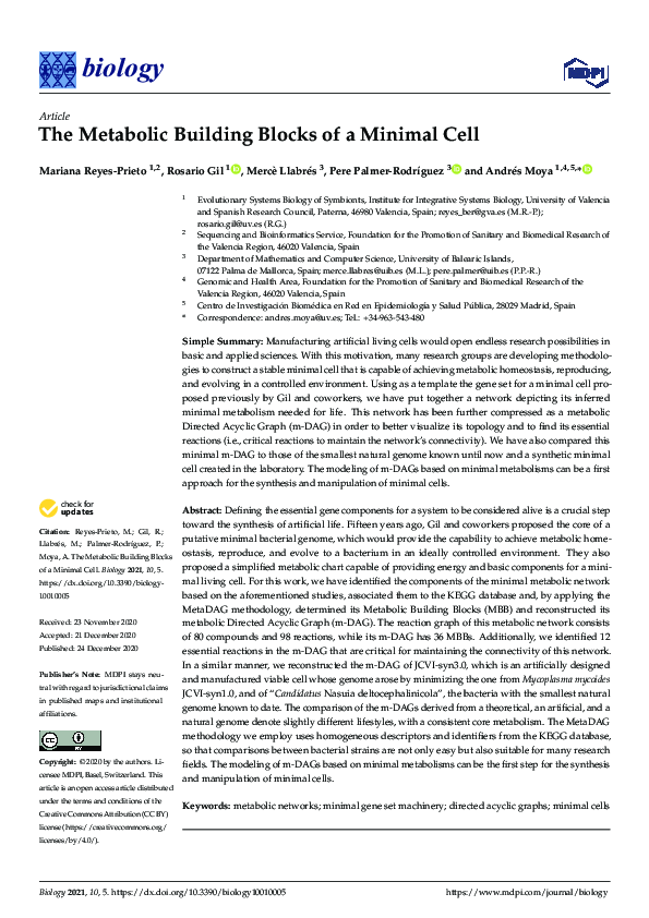 (PDF) The Metabolic Building Blocks of a Minimal Cell