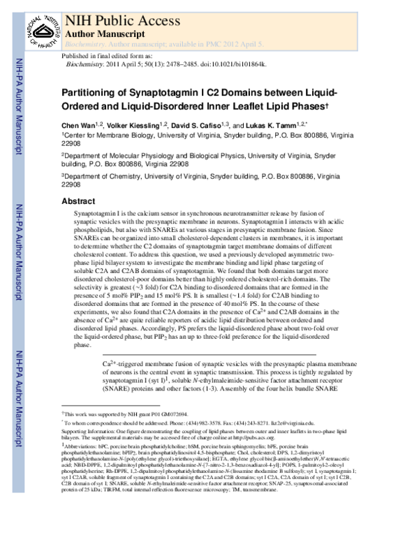 (PDF) Partitioning of Synaptotagmin I C2 Domains between Liquid-Ordered ...