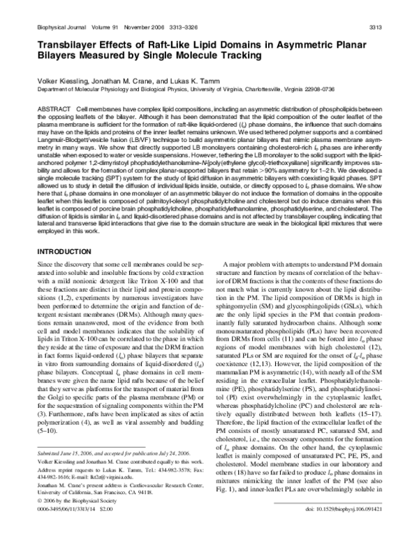 (PDF) Transbilayer Effects of Raft-Like Lipid Domains in Asymmetric ...
