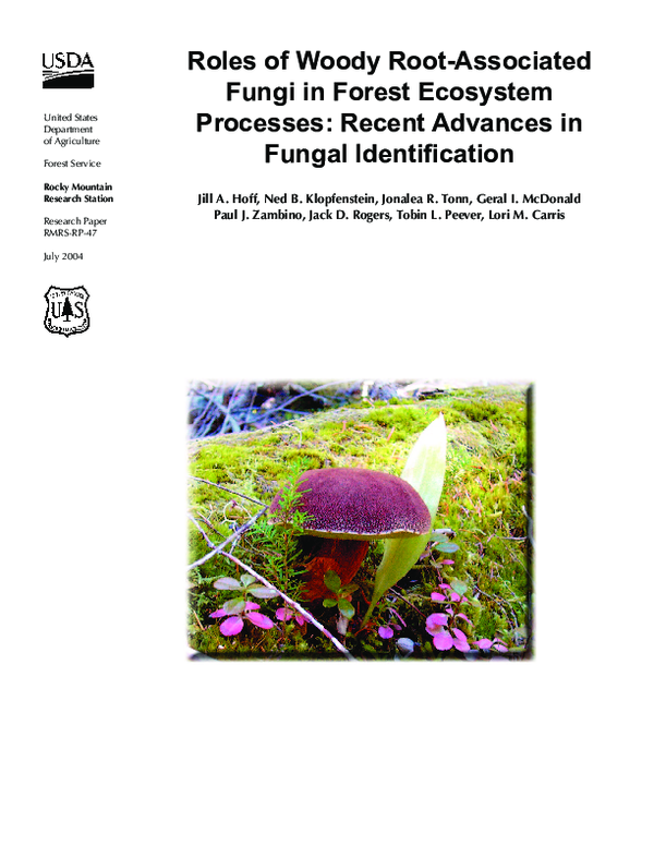 (PDF) Roles of Woody Root-Associated Fungi in Forest Ecosystem ...
