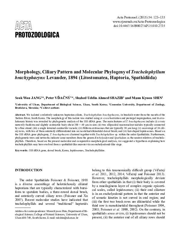 (PDF) Morphology, Ciliary Pattern and Molecular Phylogeny of ...